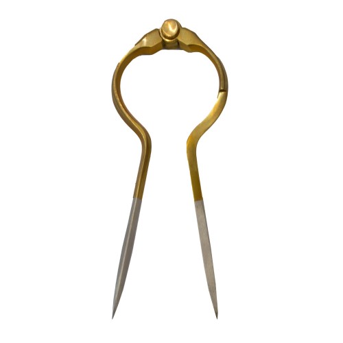 Compas (gheara) navigatie